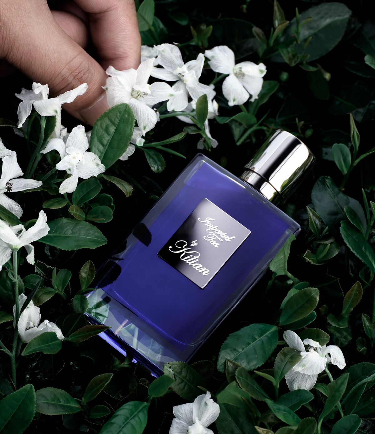 Imperial Tea | KILIAN PARIS